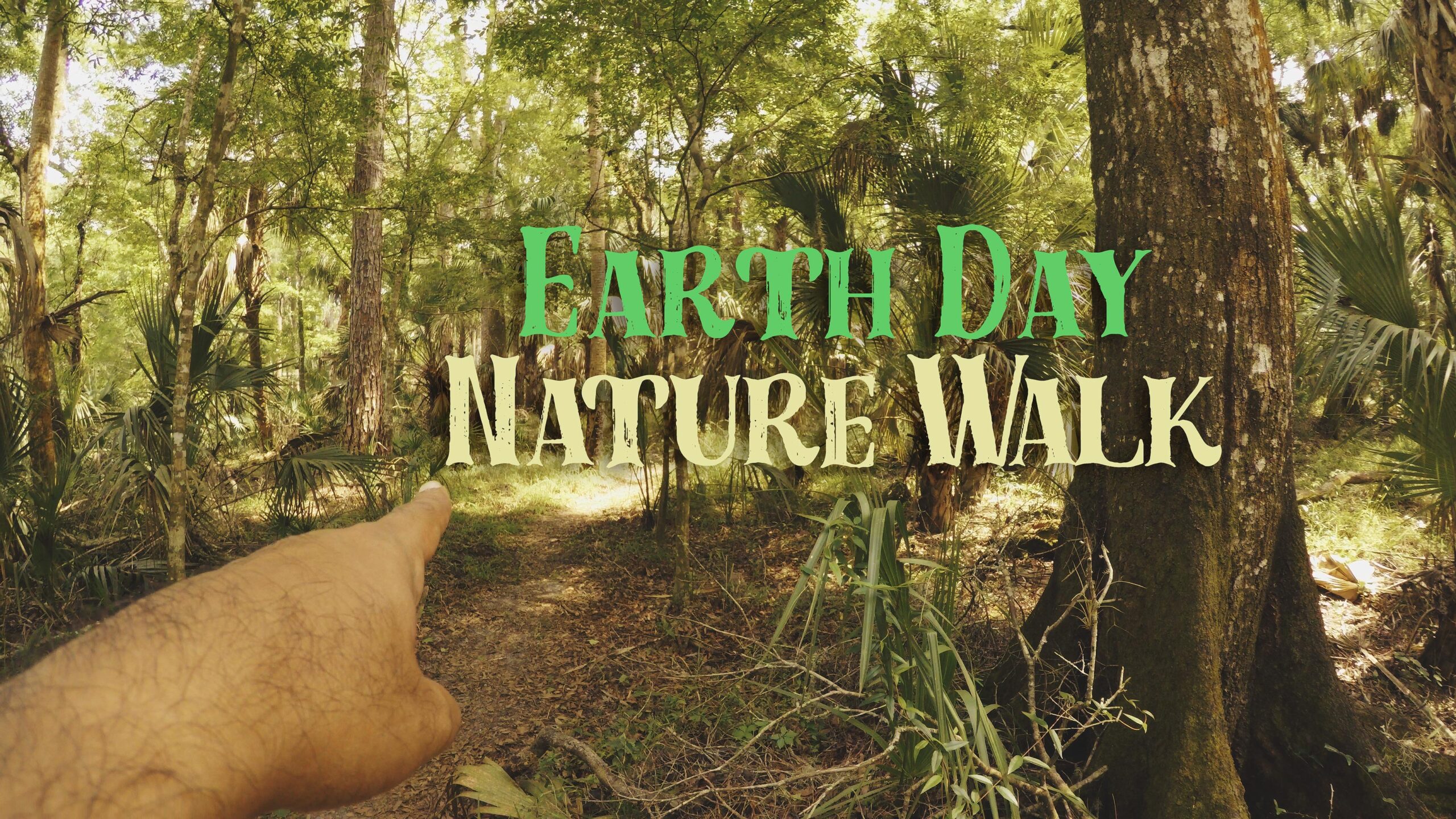 Hillsborough River Nature Walk - Florida Landscape Photography