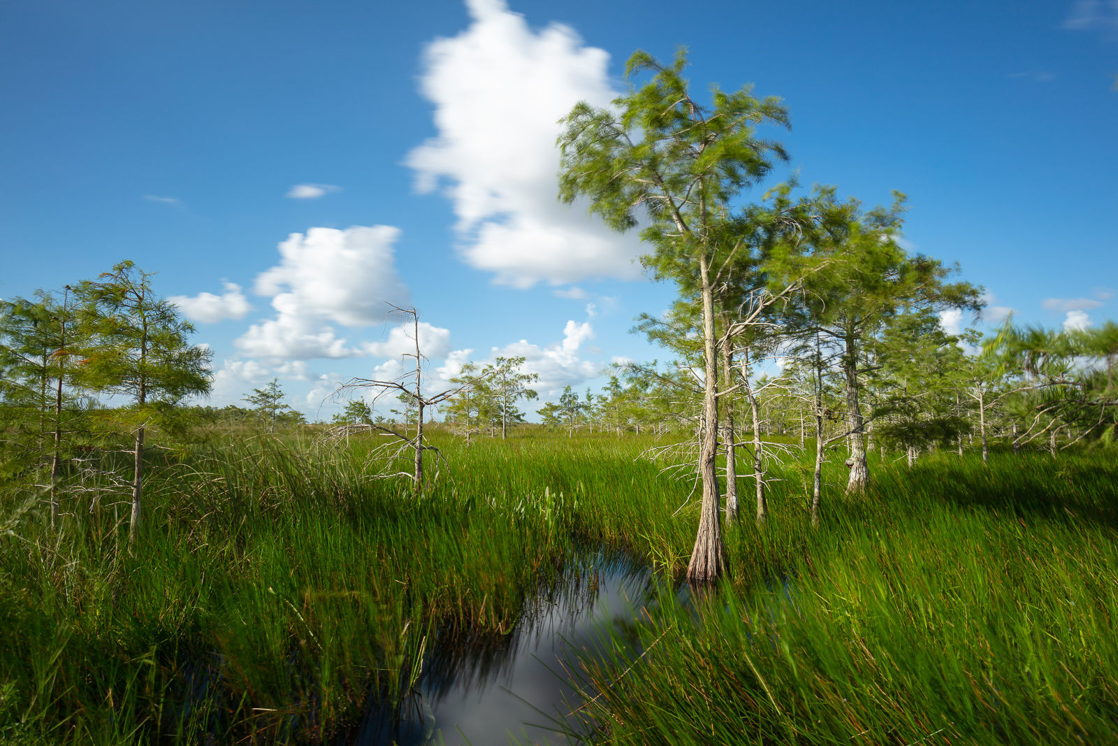 8 Best Places for Landscape Photography in Florida
